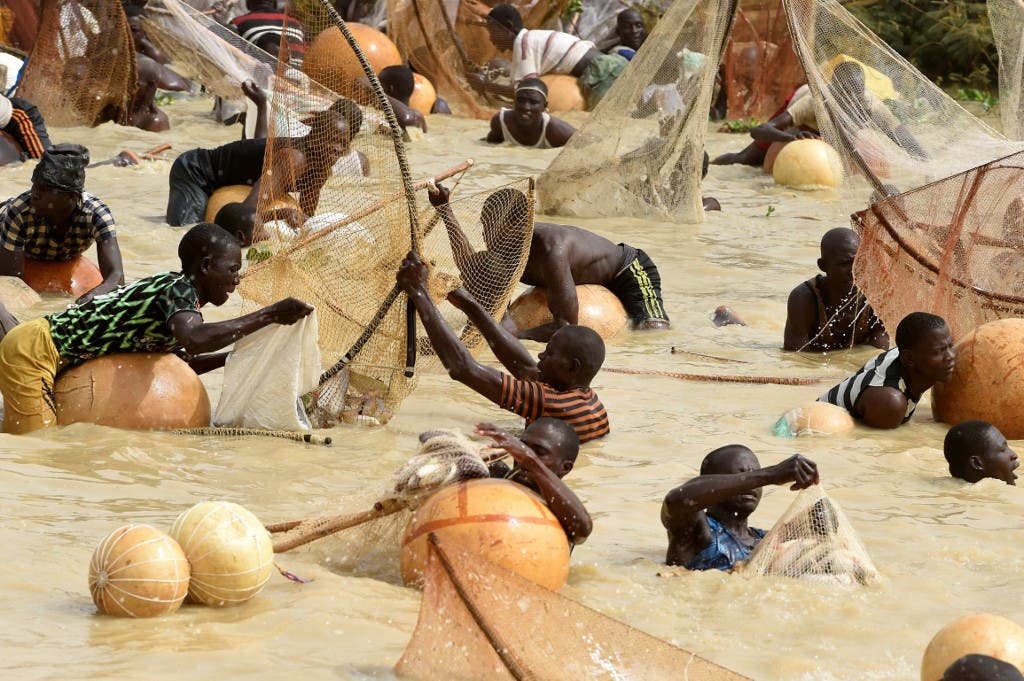 Argungu Fishing Festival: Africa’s Biggest Fishing Celebration ...